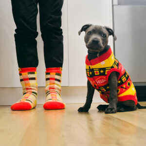 MITEY Merchandise - Tastes Like Australia